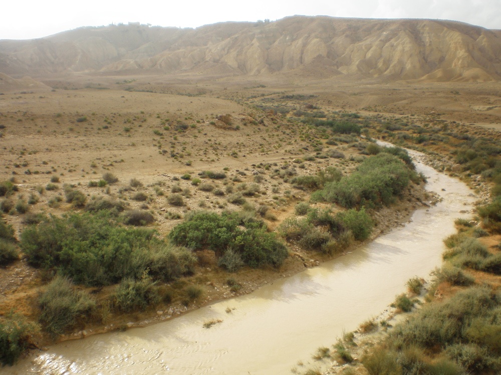 Negev Streams – 12 May 2007 – Streams in the Negev
